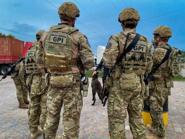 Grupamento de Policiamento de Intervenção (GPI): A Elite Tática da ...